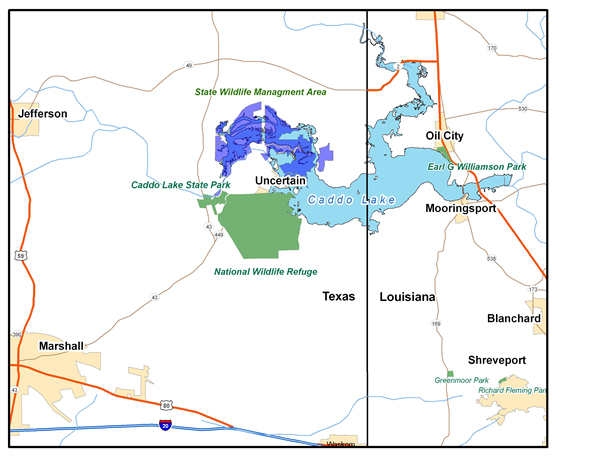 “The Graceful Ghost of Caddo Lake” | Christopher Cook